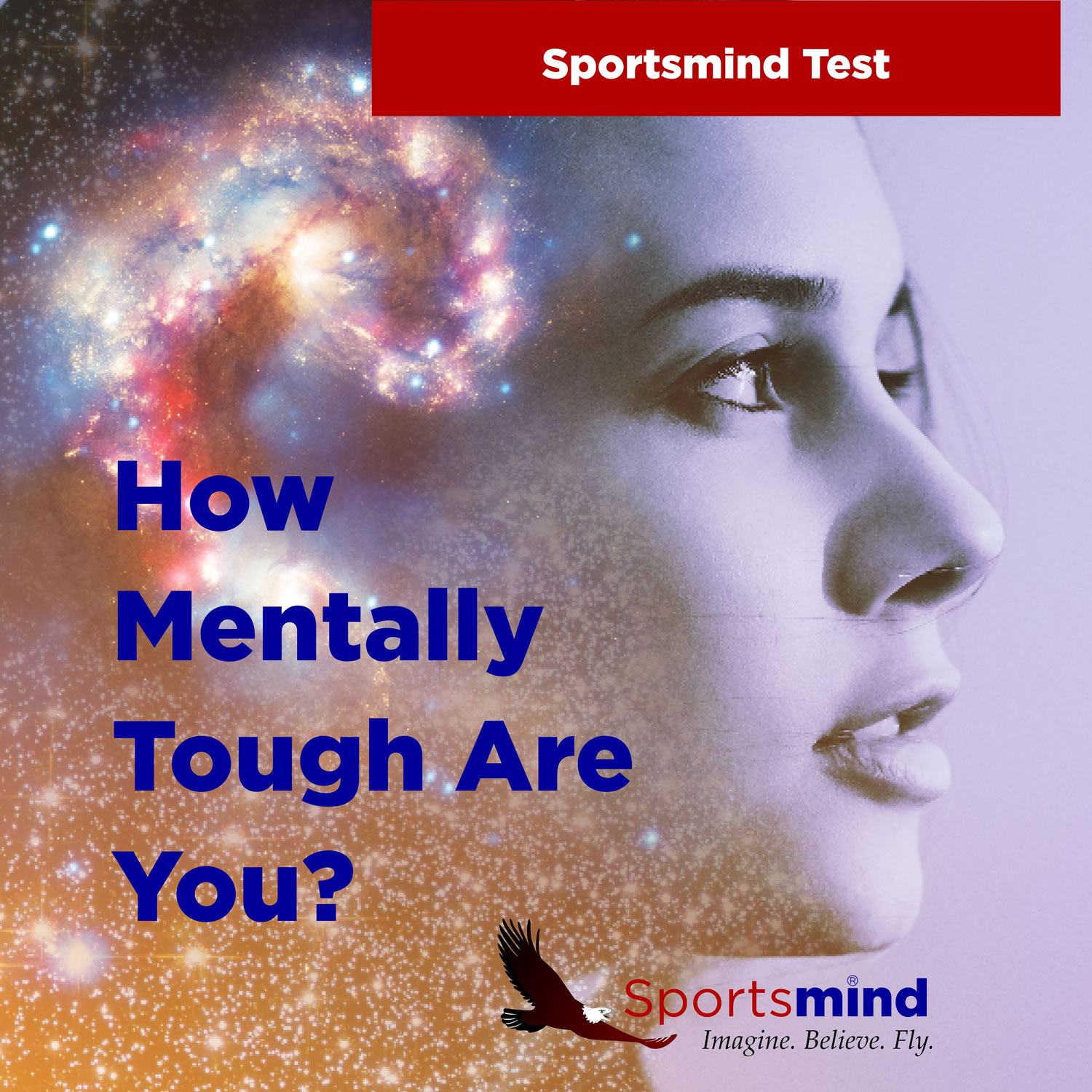 Mental Training - Sportsmind